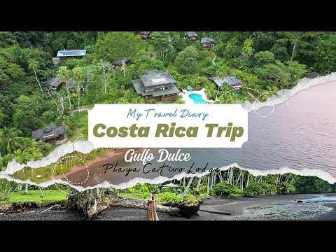 Costa Rica's Gulf of Dulce is the best kept secret of Costa Rica 🇨🇷