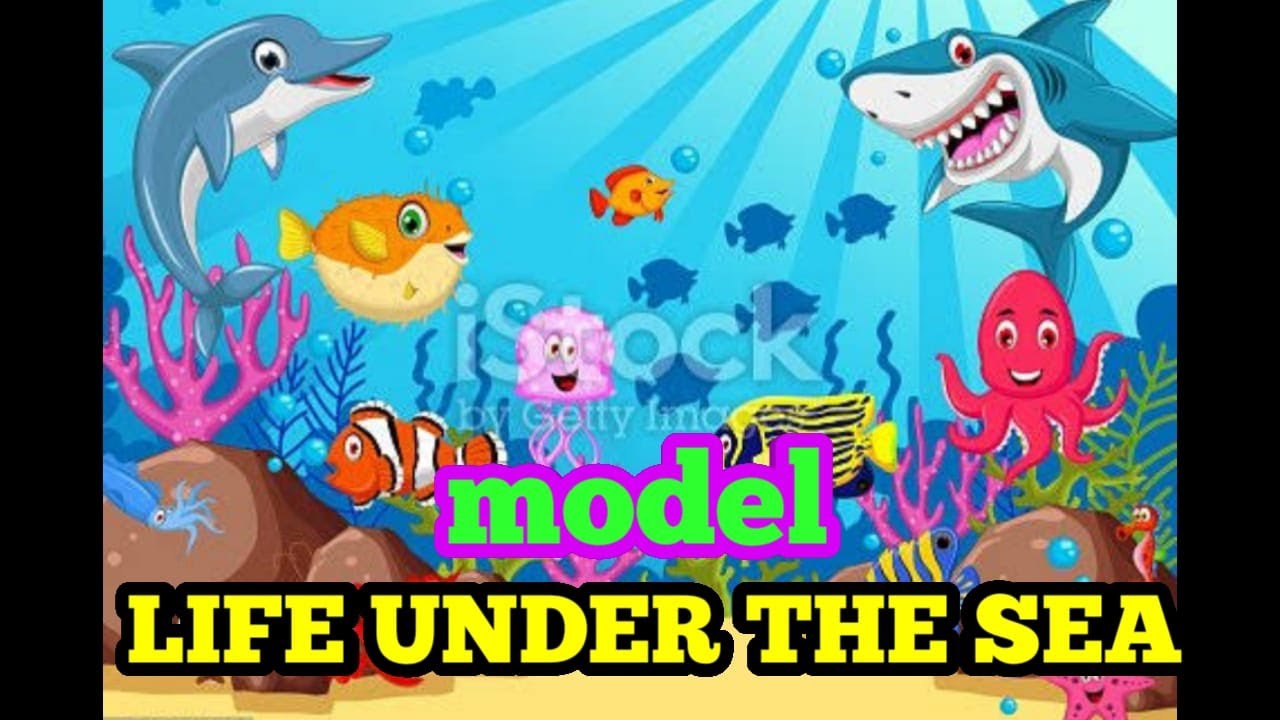 model of life under sea|| Marine life model||Sea habitat model ...