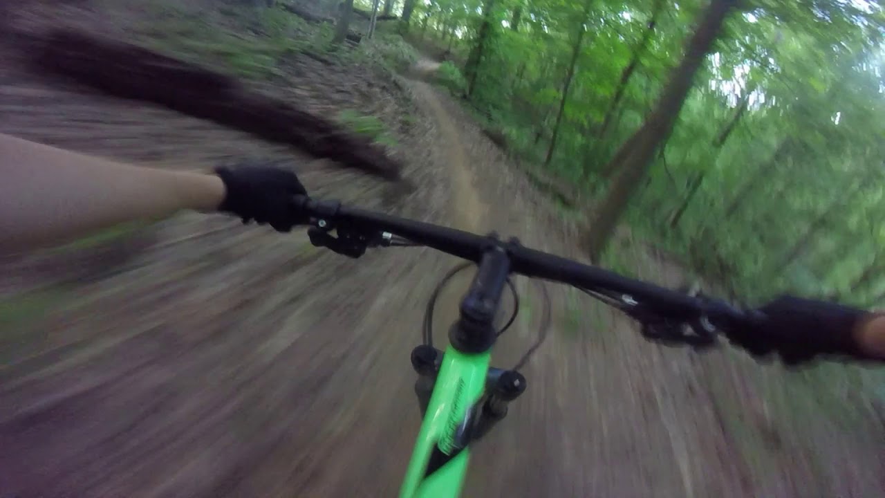 Weed Patch Trail in Brown County State Park - YouTube