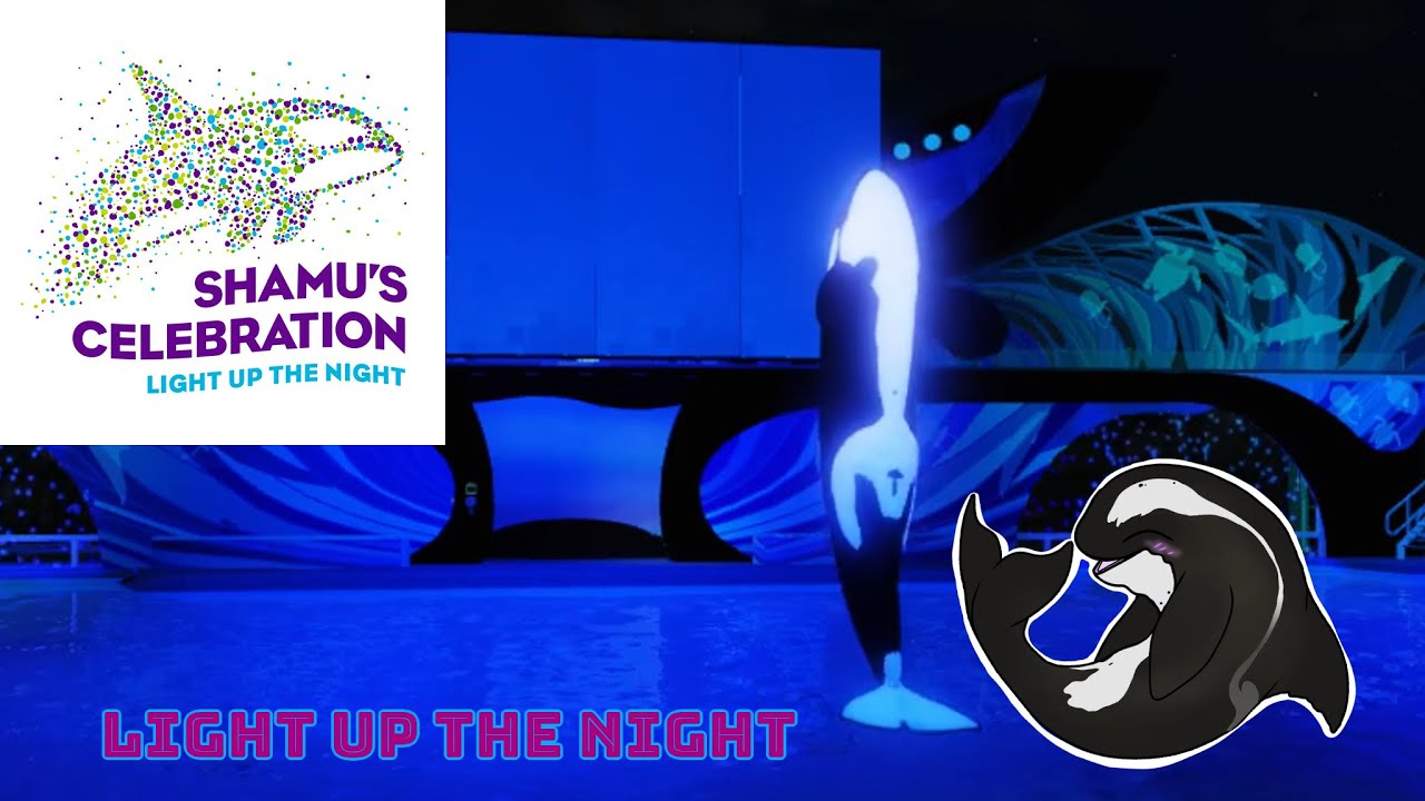 LIGHT UP THE NIGHT SHOW!! - December 31 2022 - SeaWorld Roblox Orlando ...