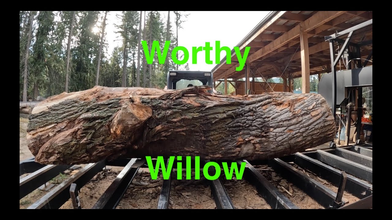 The biggest log I've ever cut! - YouTube