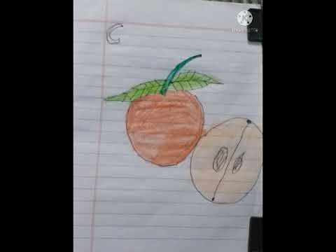 How to draw a Chikoo - YouTube
