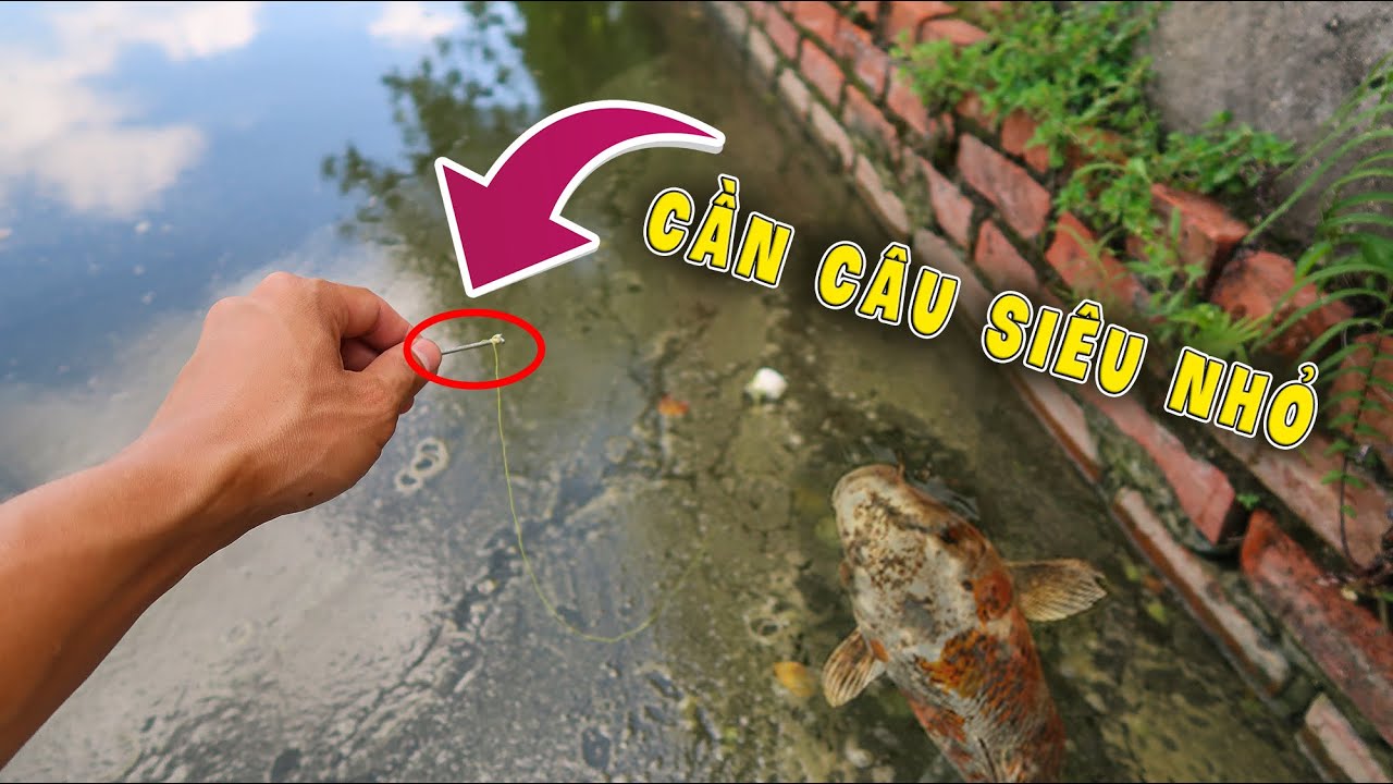 Chế Tạo Siêu Cần Câu Nhỏ Nhất Thế GIỚI ( Macro fishing rod) Lạ Vlog ...
