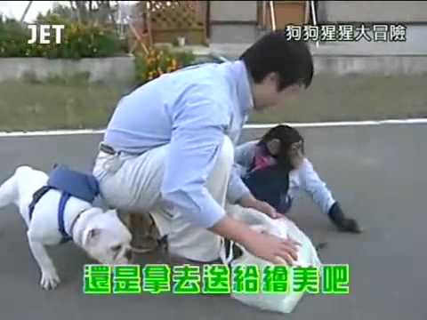 Pan Kun The monkey - Ep 3 2/5 - YouTube