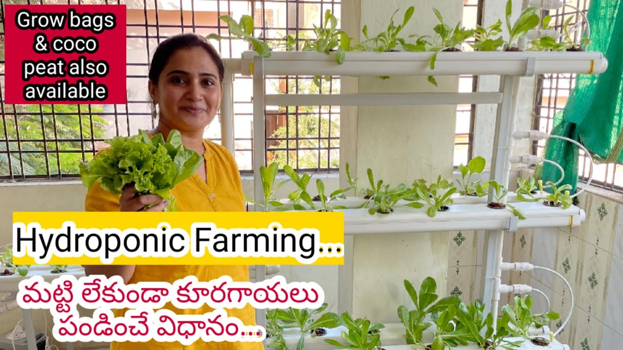 Get Hydroponic Farming setup at home || Kits and Nutrients available ...