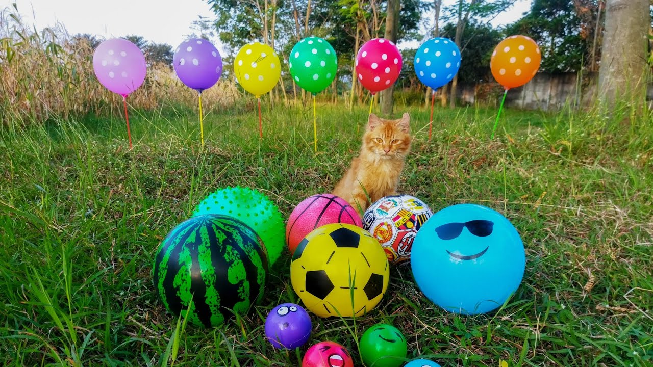 Lempar bola ke balon meletus, balon polkadot - YouTube