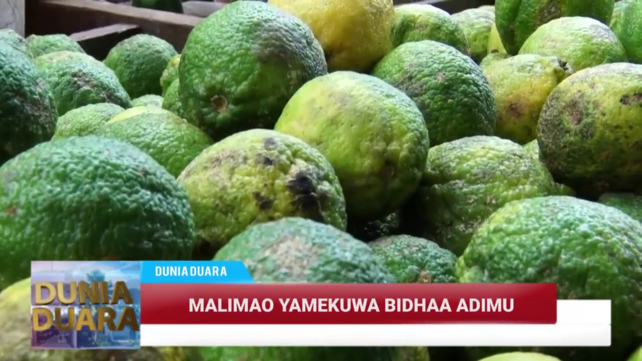 BIASHARA YA MALIMAO NA NDIMU SOKONI | KUADIMIKA | BEI MPYA - YouTube