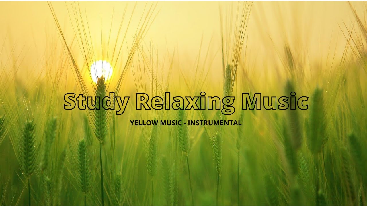 Relaxing Studying Music, Focus Concentration Music, Silent Music - YouTube