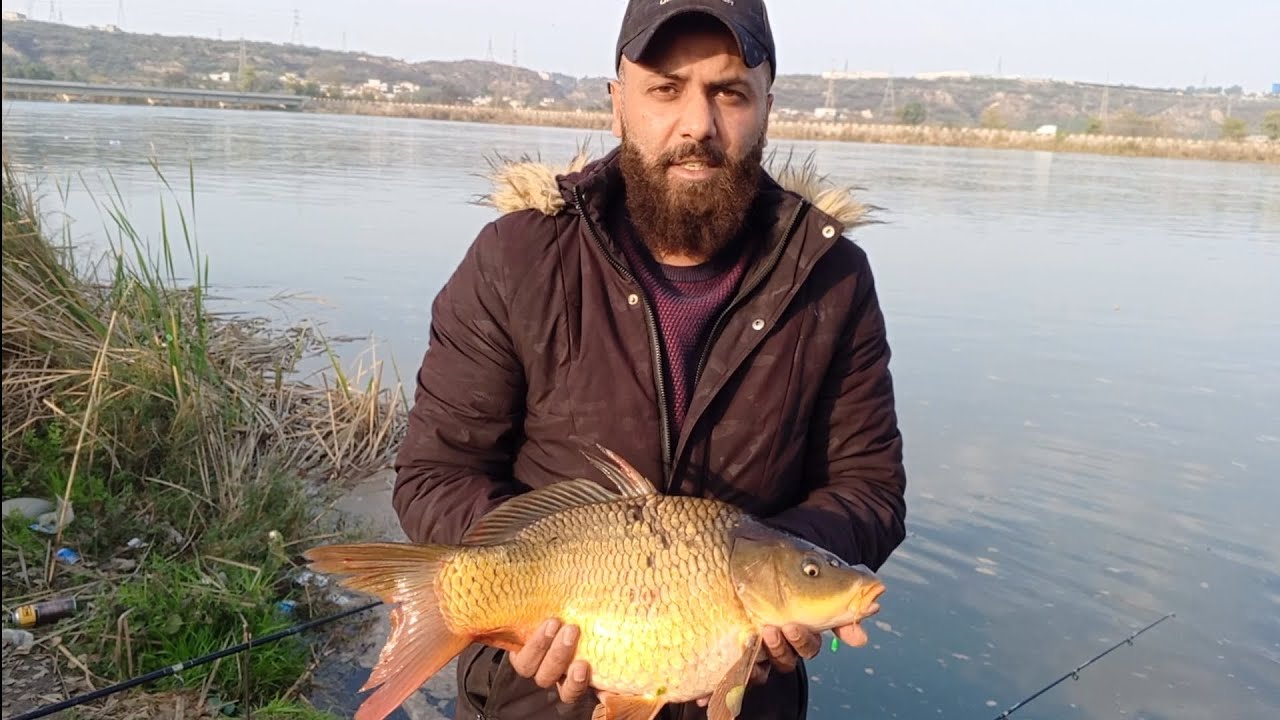One more catch release of Gulfam Madi carp fish - YouTube