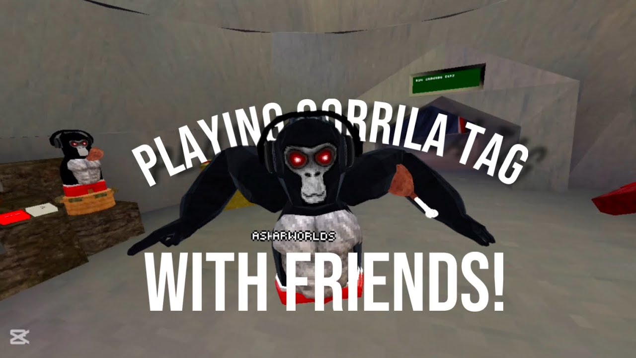 Playing Gorrila Tag with friends! - YouTube