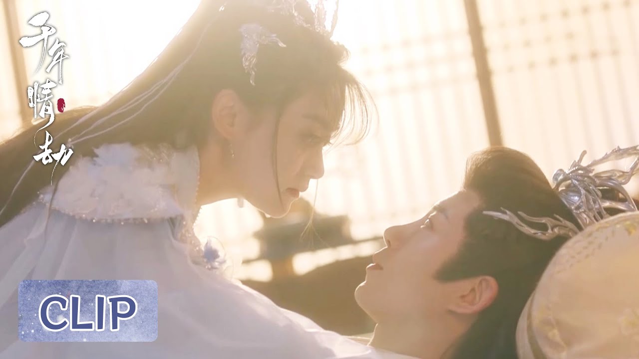 Clip | Mo Chenyuan liked Feng Ruoyao a long time ago! | [千年情劫 Thousands ...