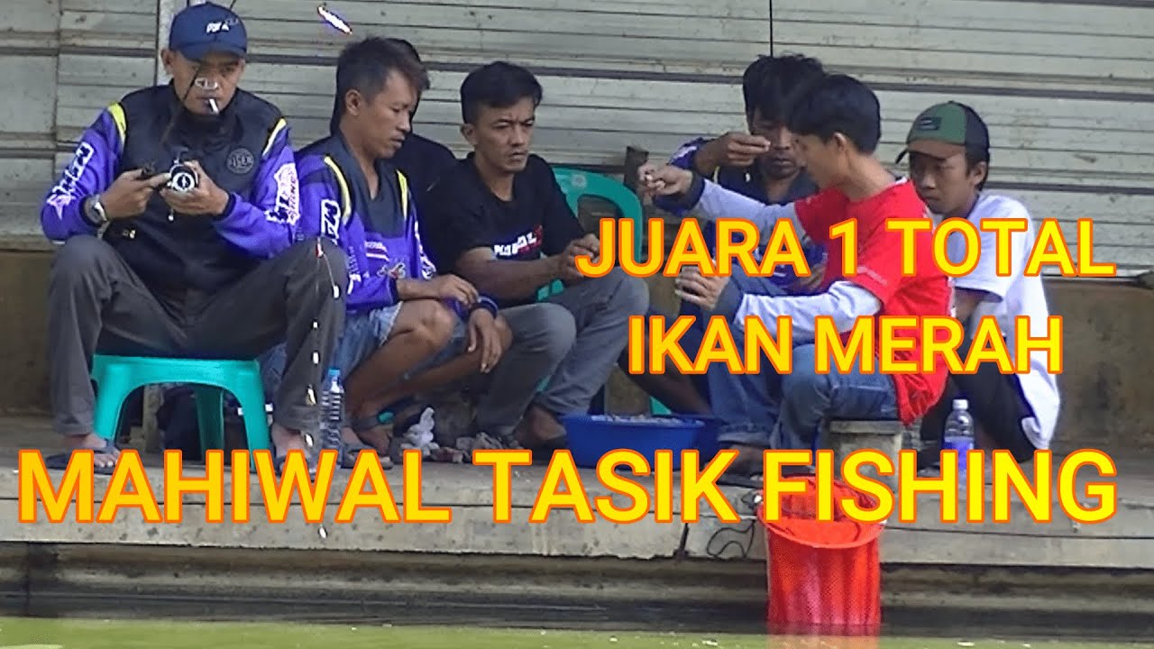 LOMBA MANCING IKAN MAS MAHIWAL FISHING TASIK JUARA 1 TOTAL IKAN MERAH ...