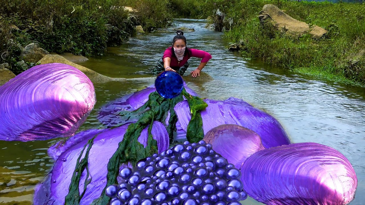 🎁🎁Rare and precious purple giant clam, bringing a peerless treasure of ...
