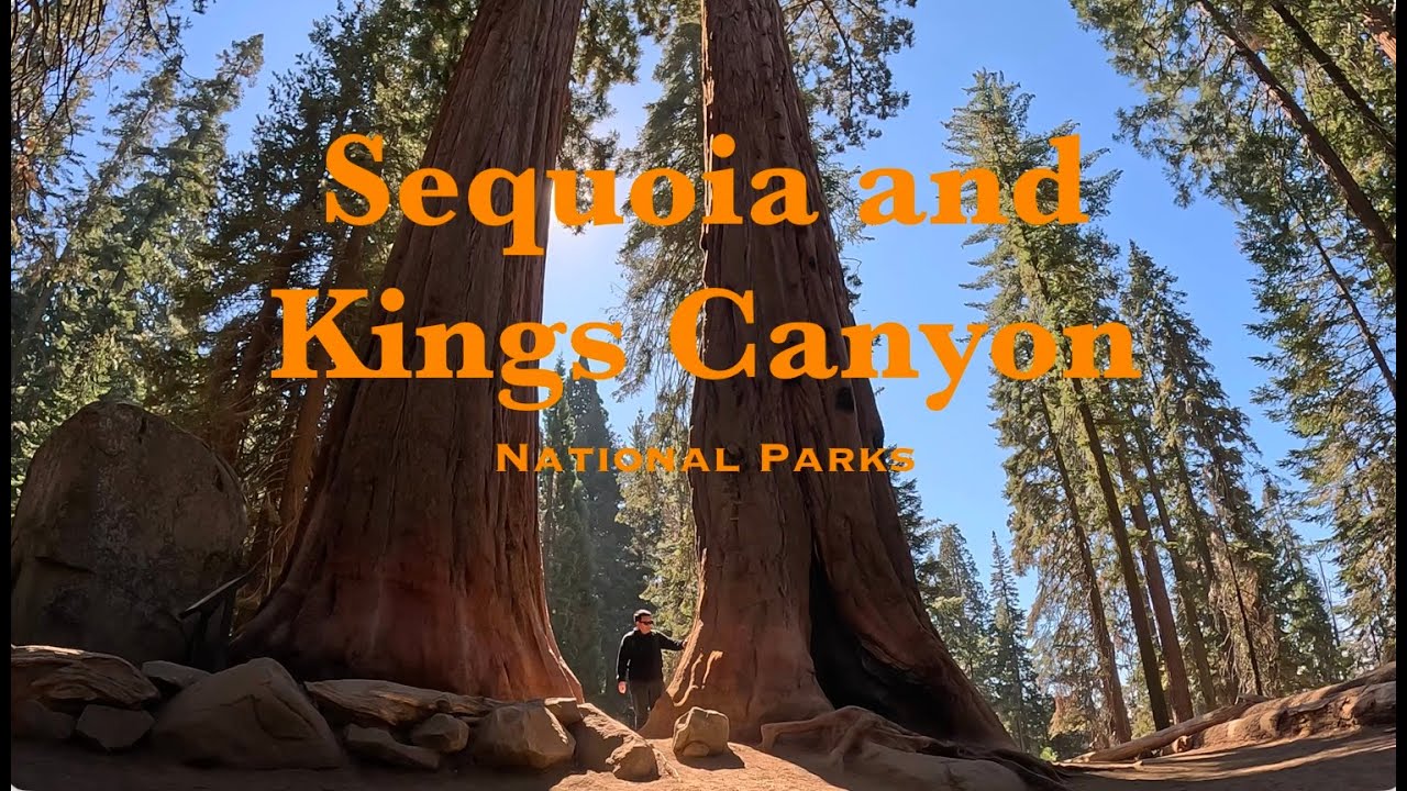 Sequoia And Kings Canyon Sequoia And Kings Canyon National Parks