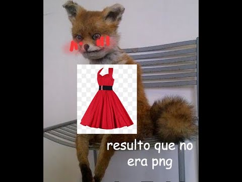 Sé ingles gente| My foxy Girlfriend