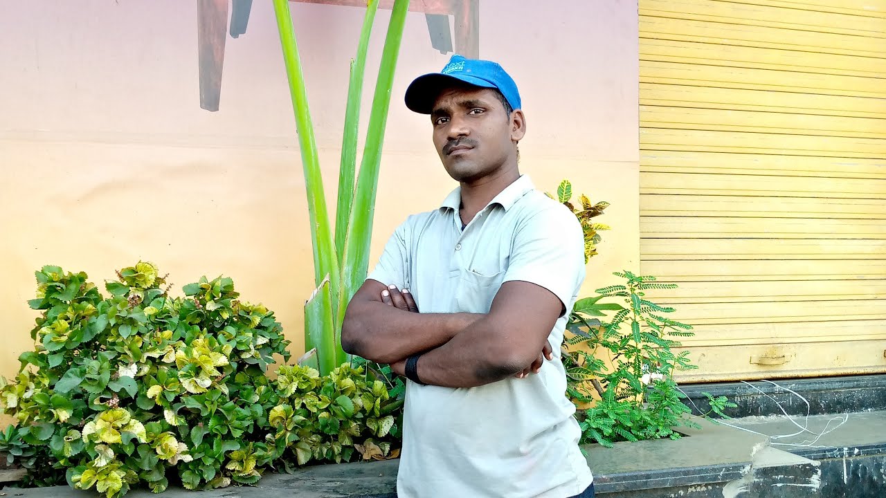 Emb Pavan blog is live! - YouTube