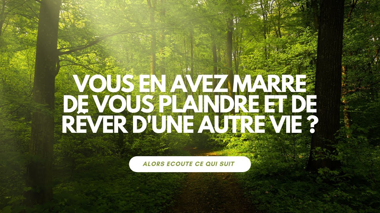 🌟 Transformez VOTRE Vie : Changez votre Mindset et VOTRE Futur 🌟 - YouTube