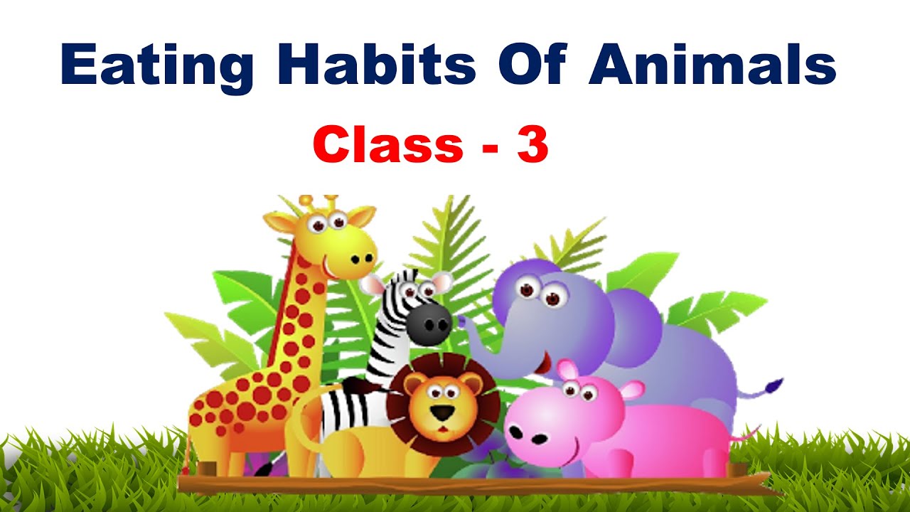 Eating habits of animals | Science-Herbivores, Carnivores, Omnivores ...
