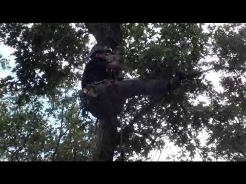 Ropewalker setup with hitch climber pulley SRT to DRT in a snap - YouTube