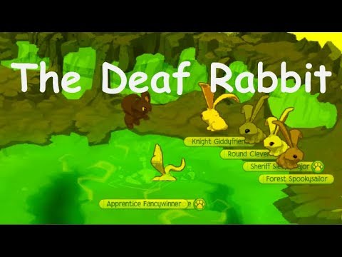 The Deaf Rabbit Story - YouTube