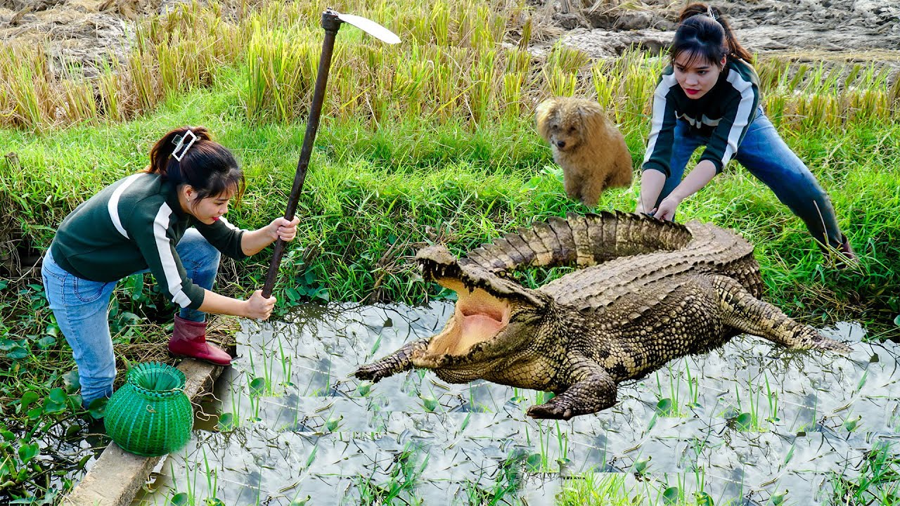 60 days of CROCODILE Attack on the Farm - Harvesting Vegetables goes to Market Sell - Cooking ...
