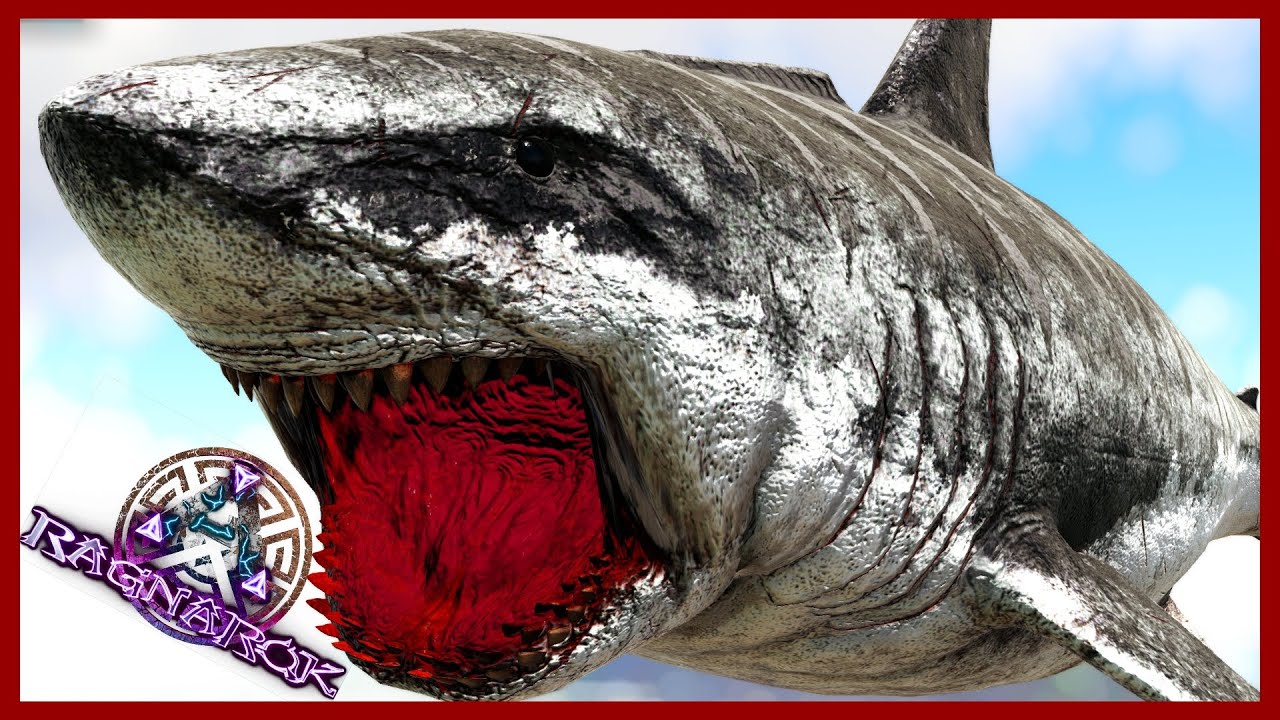 Swimming With Sharks & Growing Meat! Megalodon Taming! Immersive Ark ...