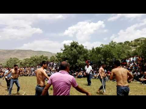 2016 tilele kamçı oyunu