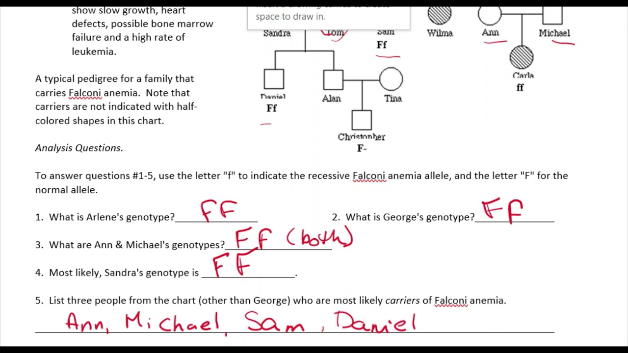 Unit 2 Lesson 10 Pedigrees - YouTube