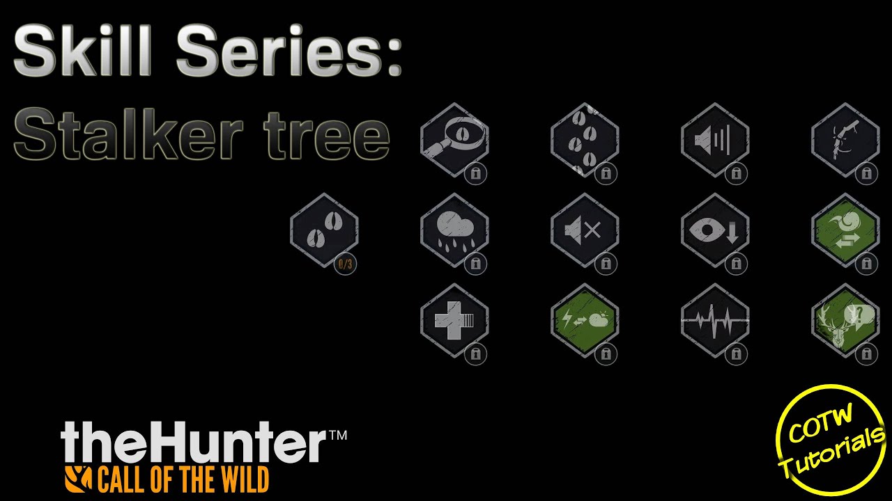 Skill Series - Stalker tree - YouTube