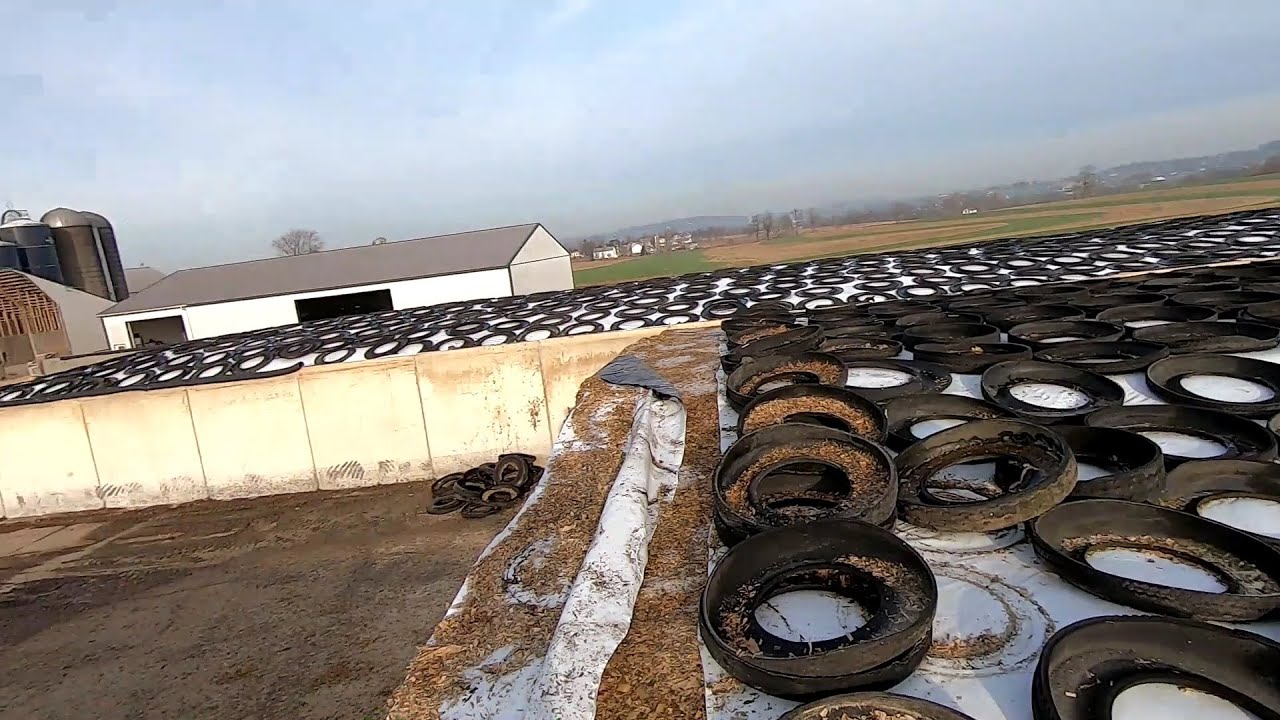Cutting Back Bunker Silo and Free Stall Repairs - YouTube