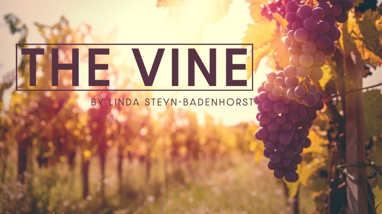 Linda Steyn-Badenhorst - The Vine - YouTube