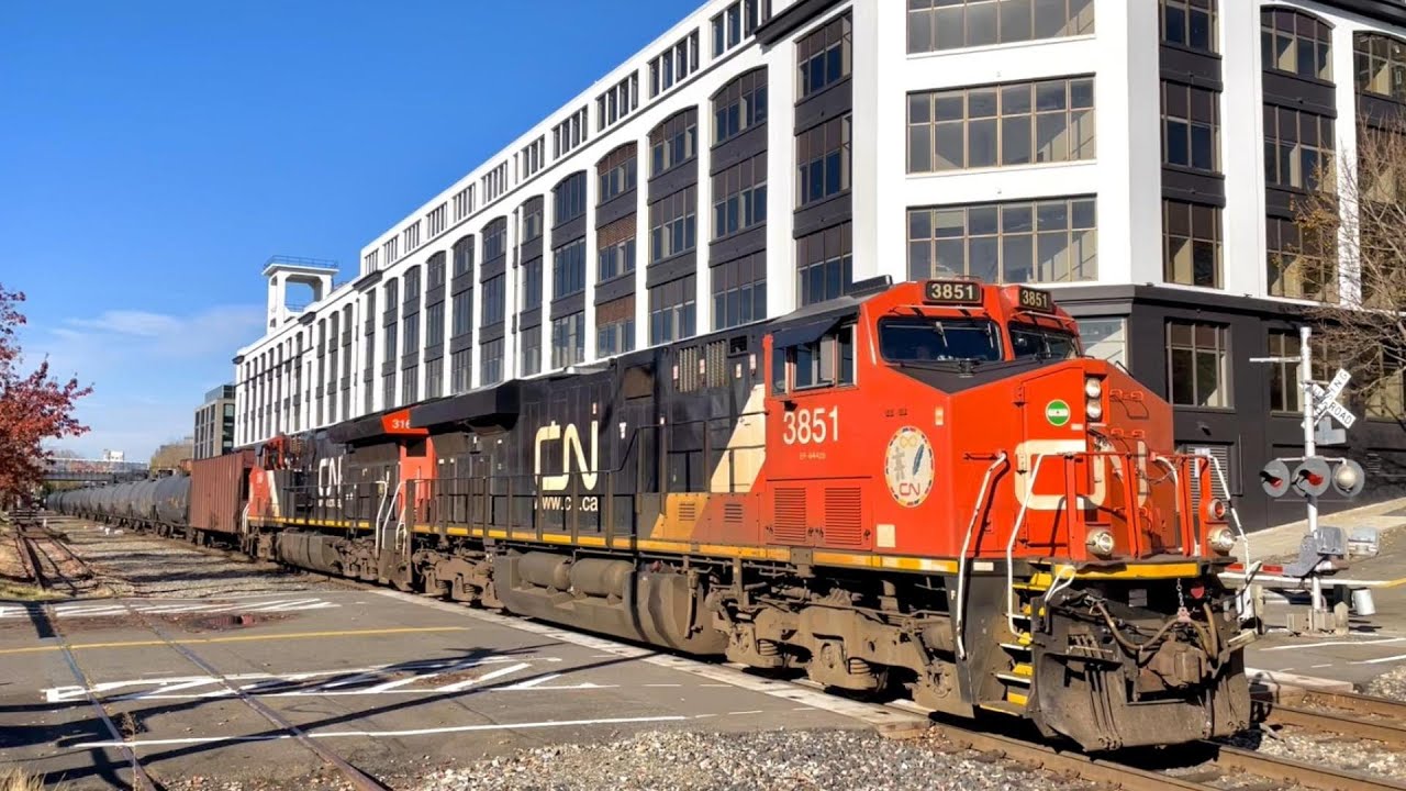 BNSF and Sounder Trains in Seattle, WA; (November 7th, 2024) - YouTube