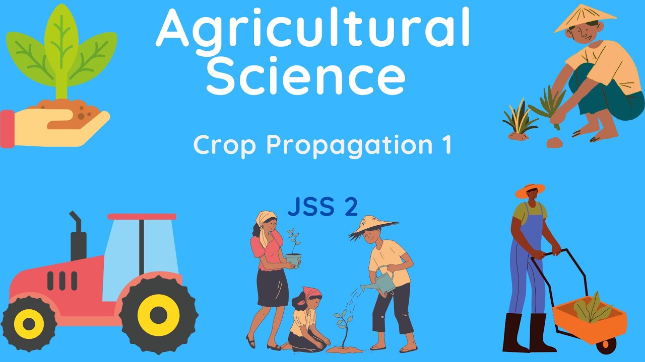 02 - Agricultural Science | J.S.S.2 | Crop Propagation (Part 1) - YouTube