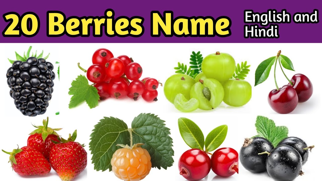 20 Berries Name With Pictures || बेरीज के नाम | Berries Name in English ...