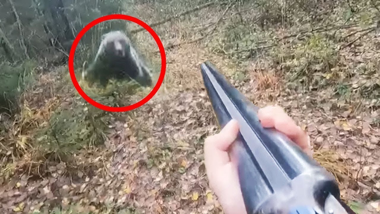 12 Times Hunters Messed With The Wrong Animals - YouTube