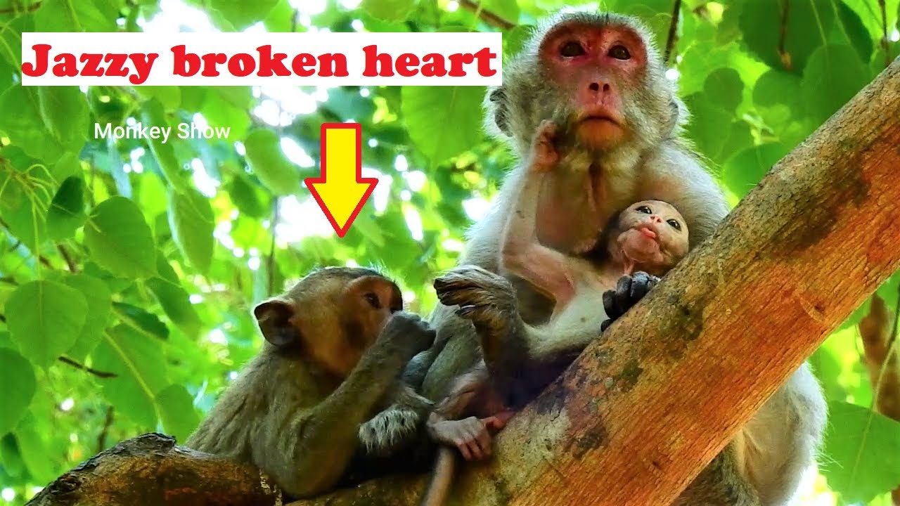 Jazzy baby got brok-en heart when Jonna incites mom walk out sister ...