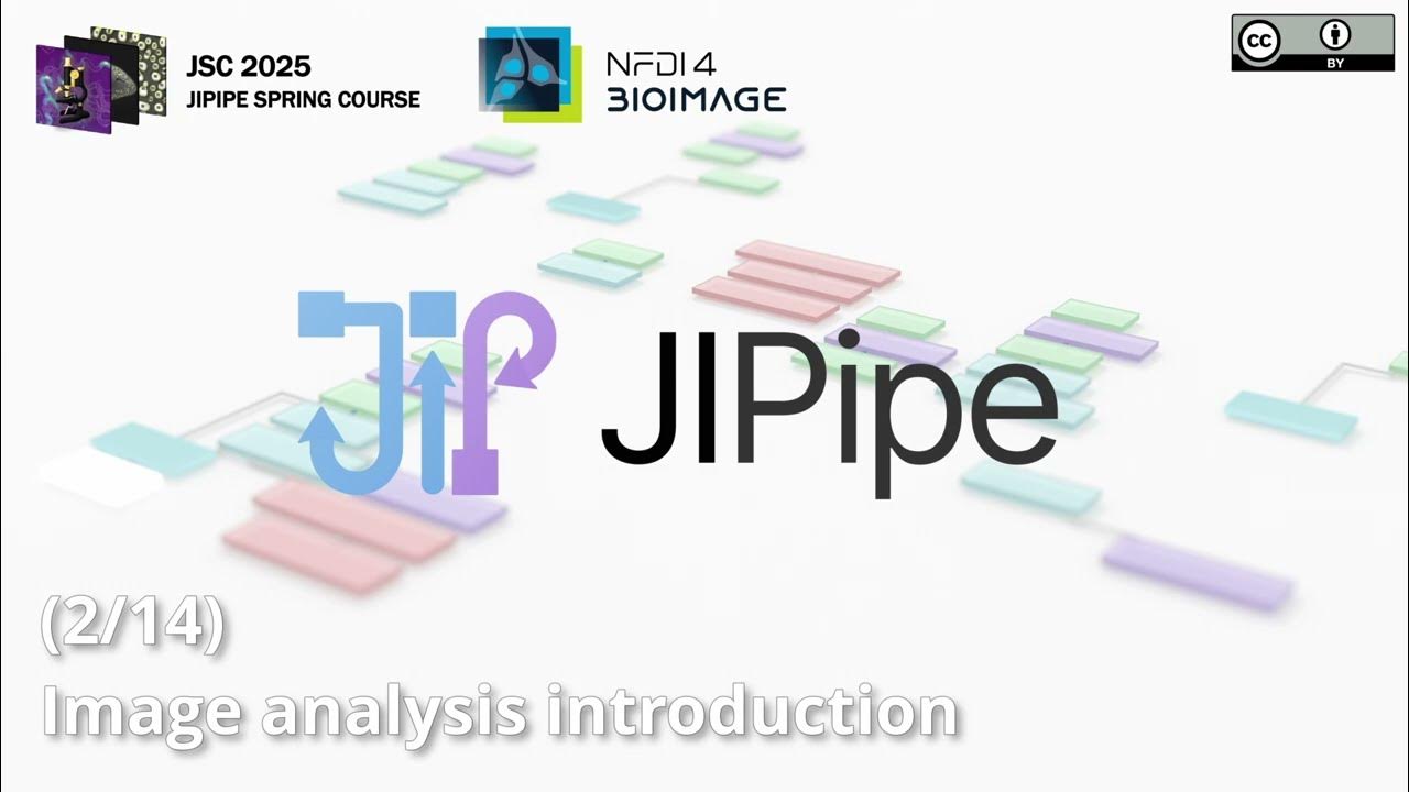 Basic Introduction Into Bioimage Analysis - Lecture - JSC2025 - YouTube