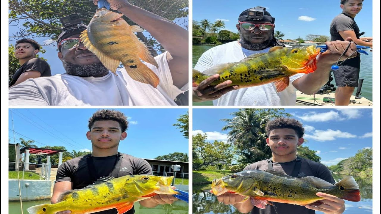 PEACOCK BASS FISHING MIAMI FLORIDA!!! Ft Capt Tony Of Urban Legends ...