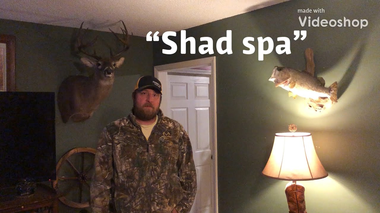 DIY home bait tank pt1 #Shad Spa - YouTube