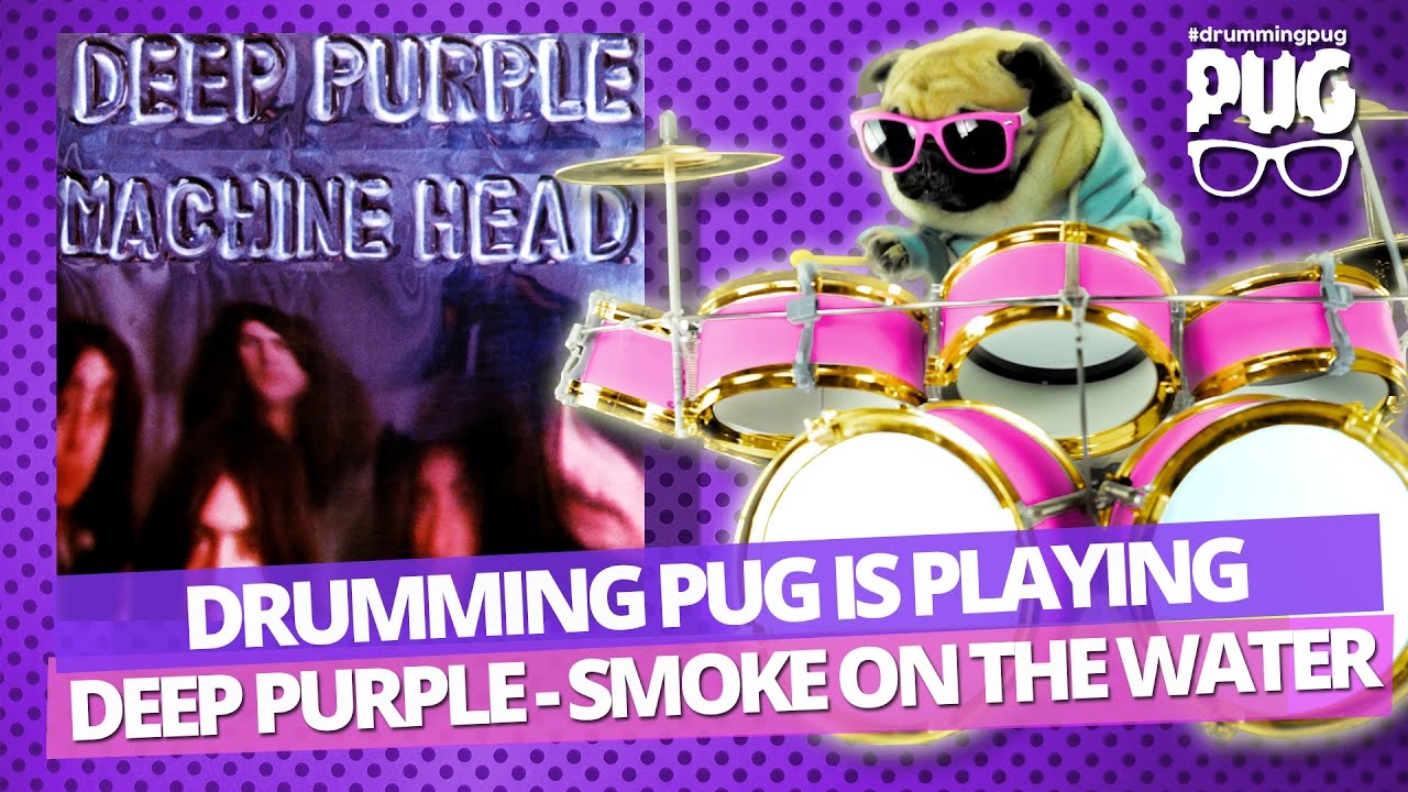 Drumming Pug - Deep Purple Smoke On The Water - YouTube