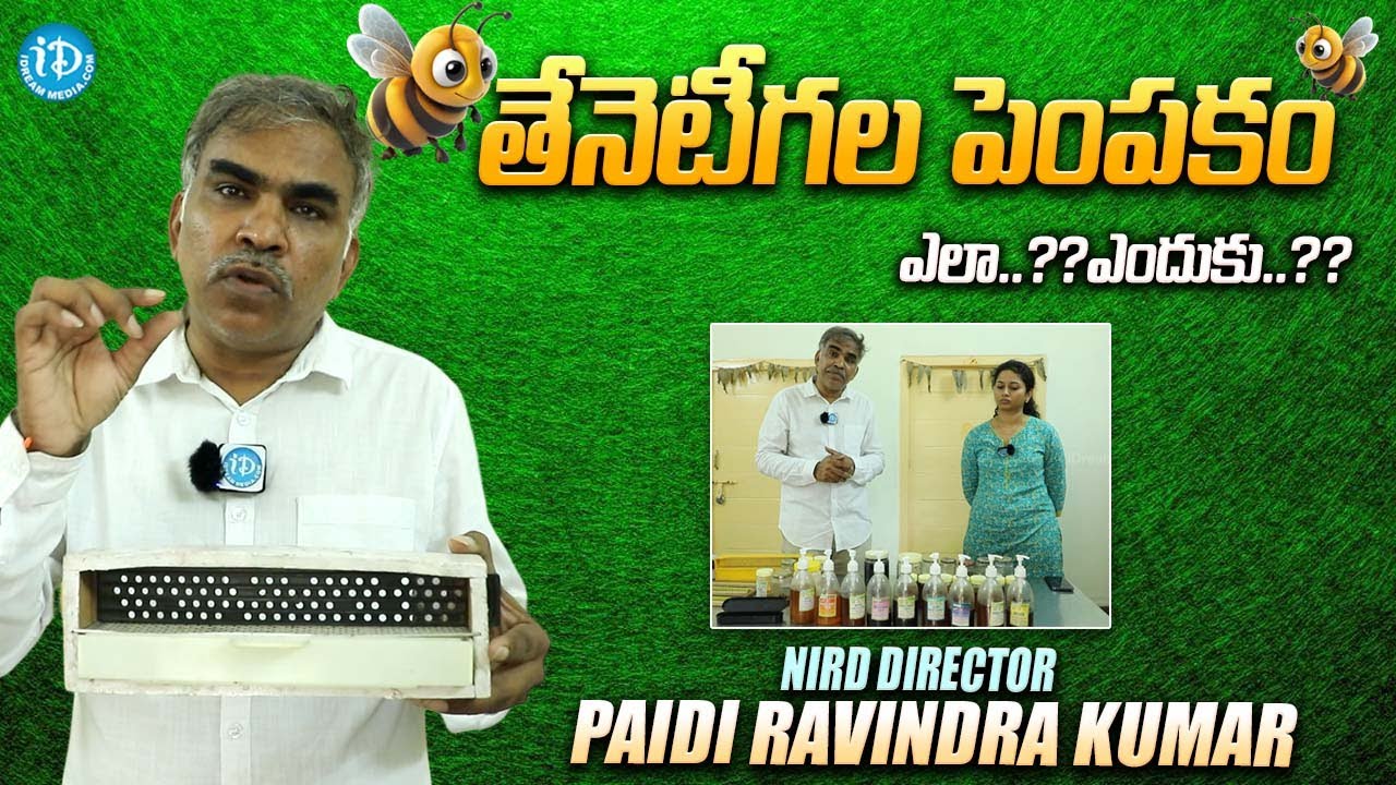 How to Produce Honey with Bees by NIRD Director Ravindra Kumar ...