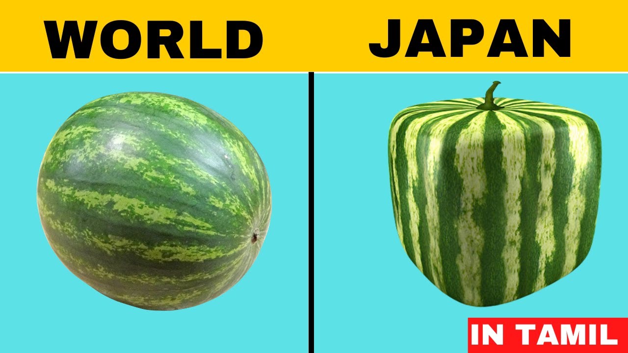 14 unusual things only exist in JAPAN. - YouTube