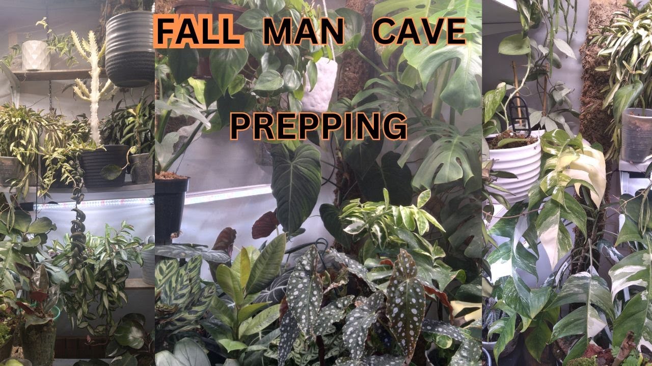 Fall | MAN CAVE | Head To Toe Prep Clean Watering Etc. - YouTube