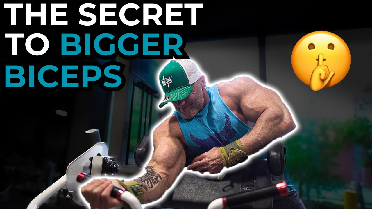 TOP 3 BICEP EXERCISES FOR BEGINNERS (ADD INCHES TO YOUR ARMS) | IFBB ...