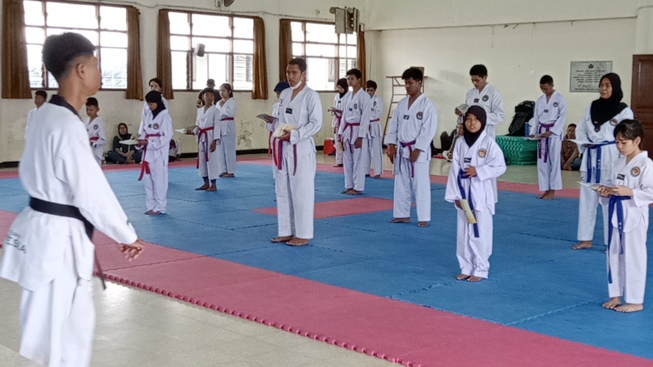 Ujian Kenaikan Tingkat Sabuk Biru - Merah Strip 1 - YouTube