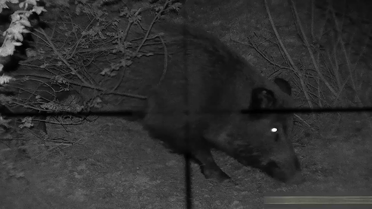 [Pard 007] Ghost - YouTube