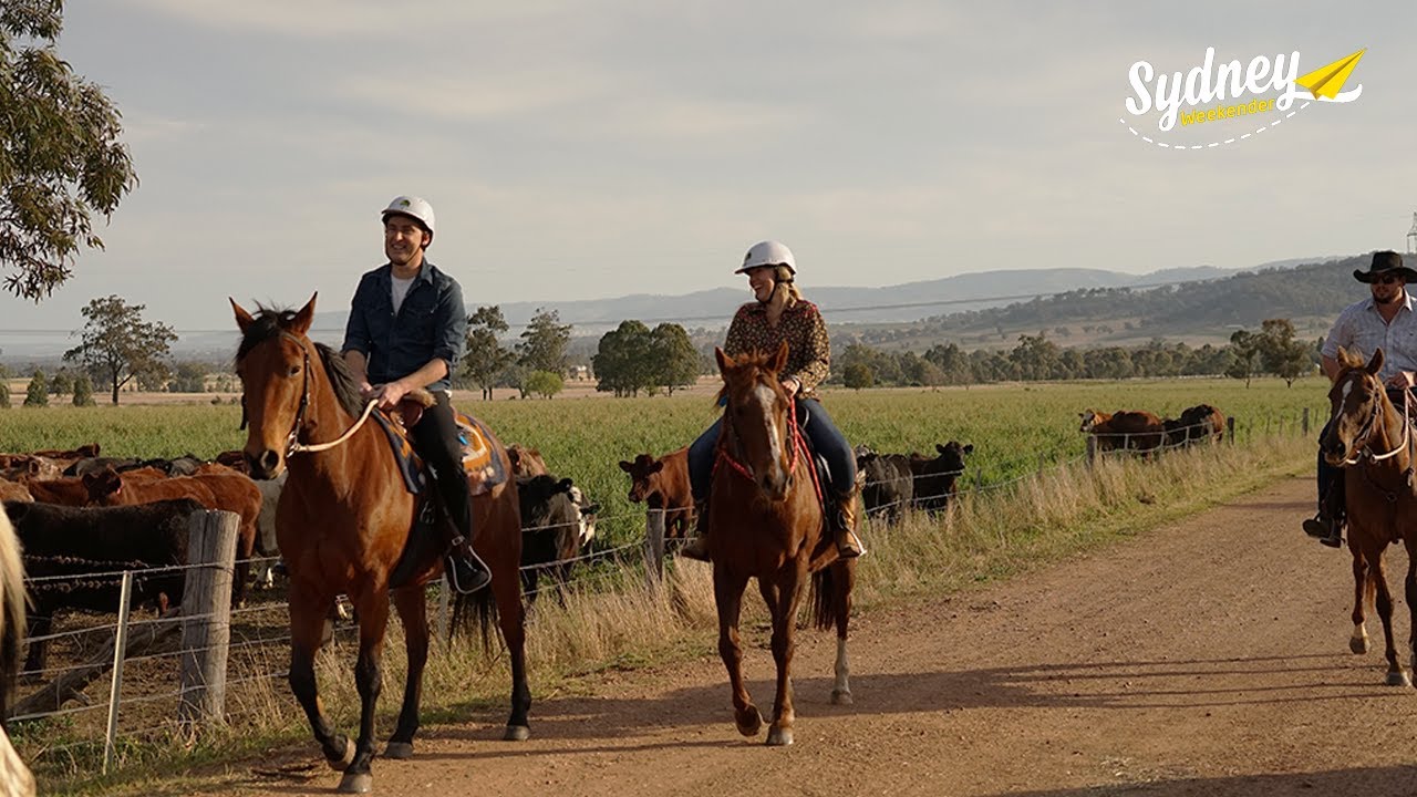 Scone Saddle Up | Sydney Weekender - YouTube