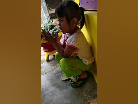 Holiday(27) - YouTube