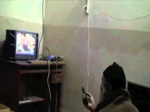 Osama Bin Laden Watching Funny Cats - YouTube