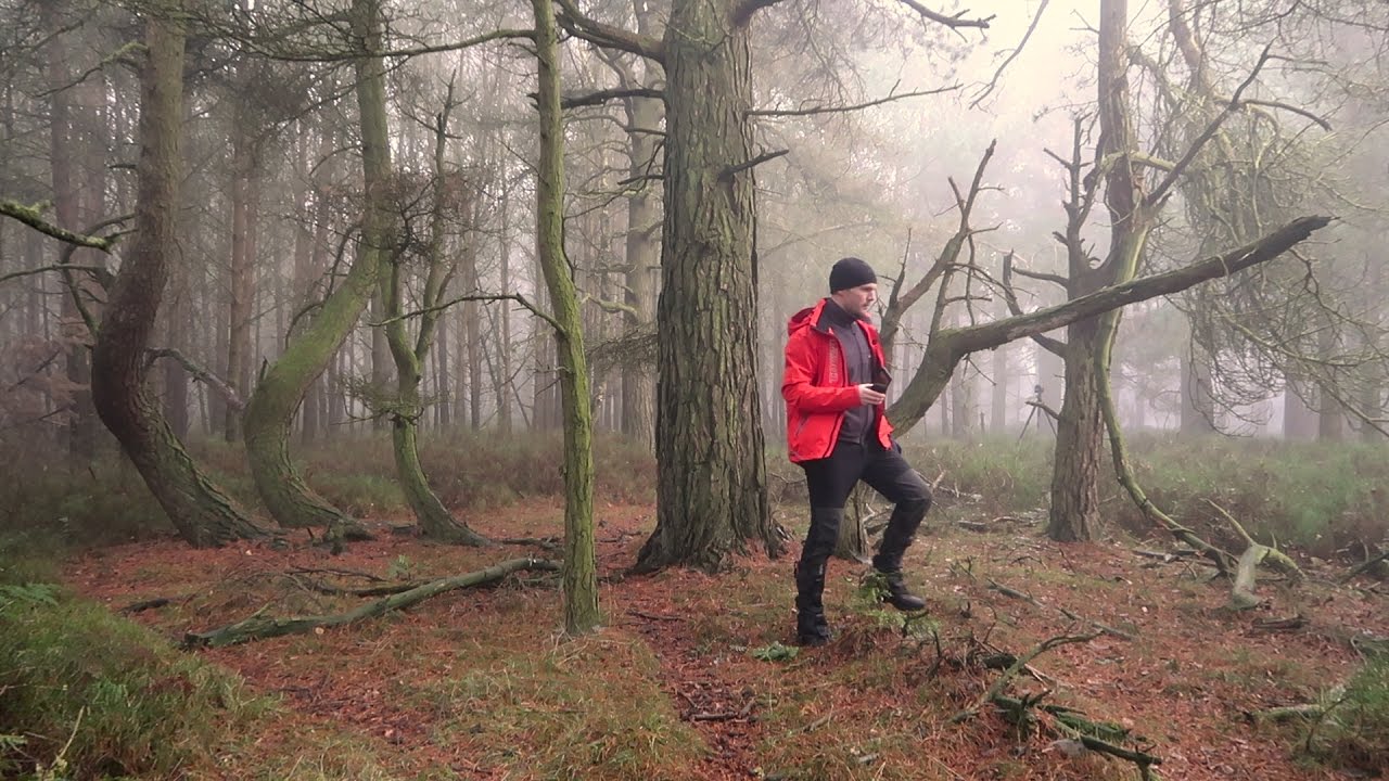 Landscape and Woodland Photography with Simon Baxter - YouTube